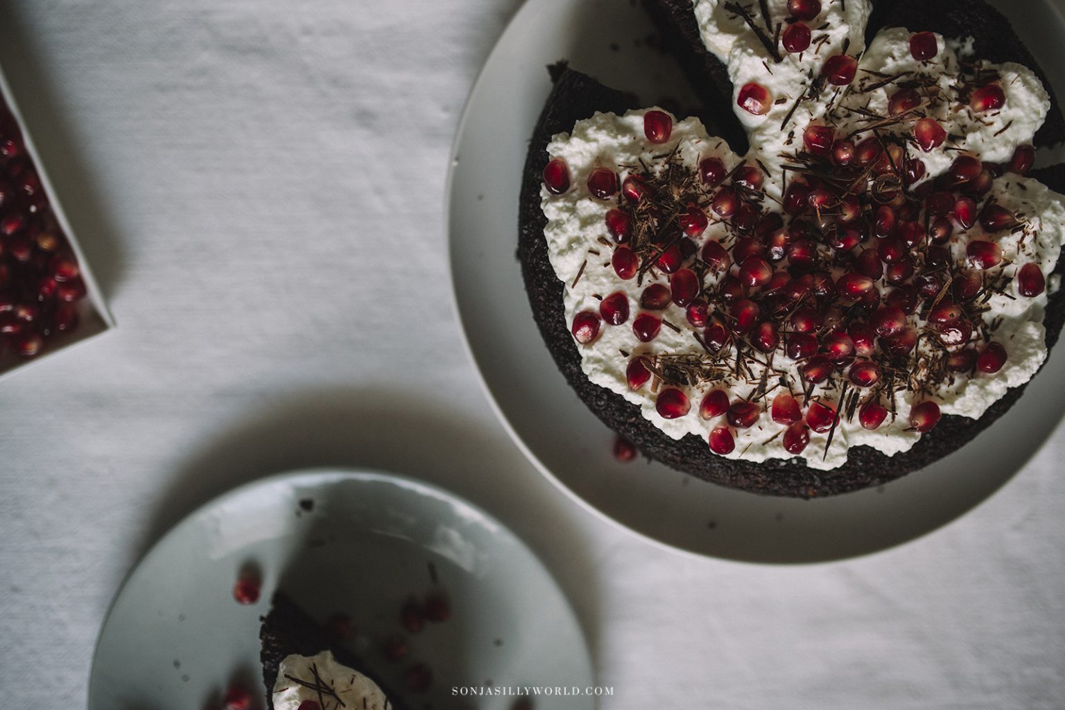 Torta bez brašna i šećera - SillyWorld - food, photography & garden
